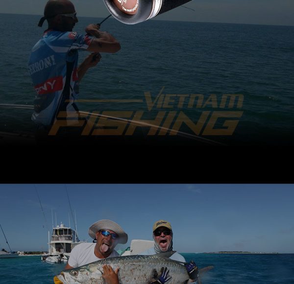Cần Câu Lure Crony Sea Cliff - Vietnam Fishing