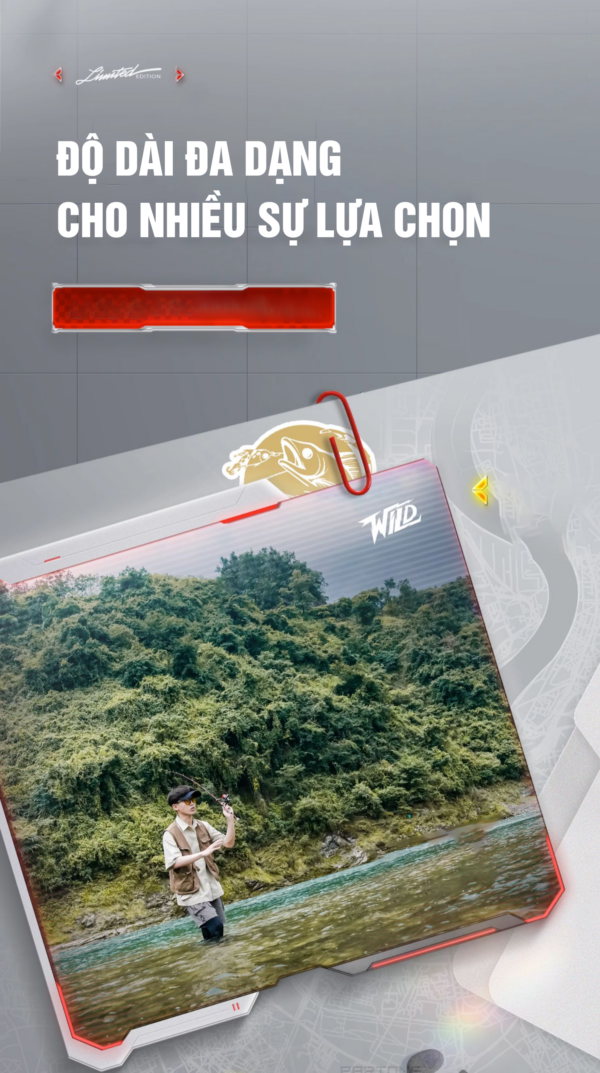 Cần Câu Lure MSS Tiny Combo - Vietnam Fishing