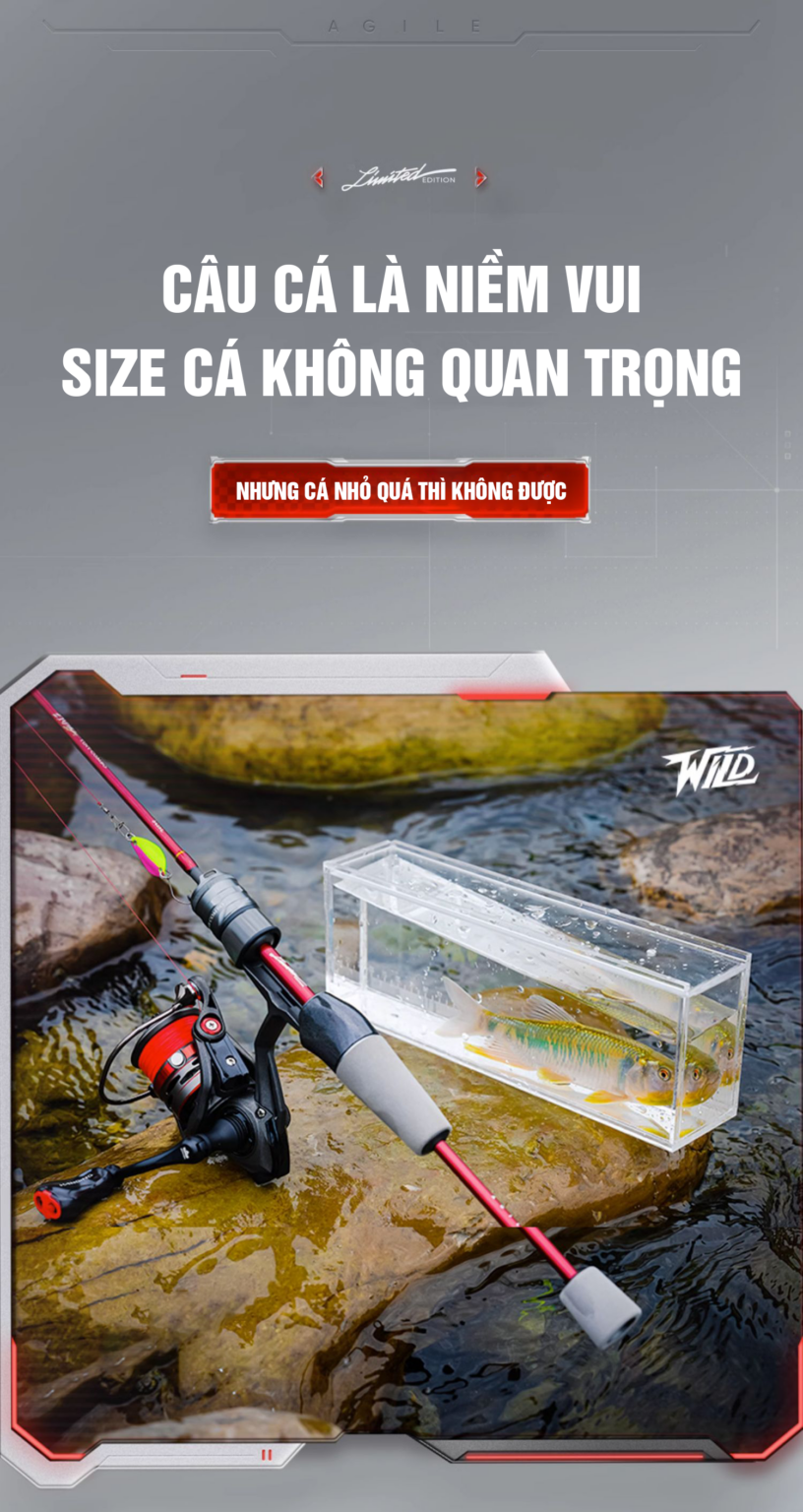 Cần Câu Lure MSS Tiny Combo - Vietnam Fishing